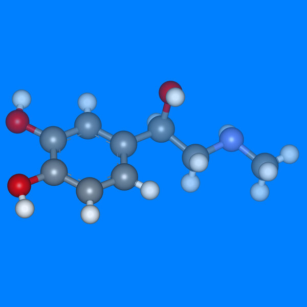 Adrenaline Wikipedia